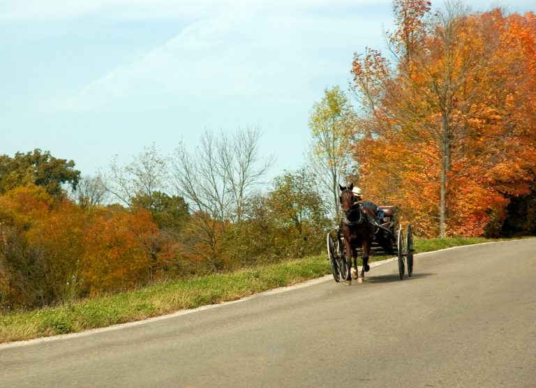 10 Best Places To See Fall Foliage In Ohio - Midwest Explored