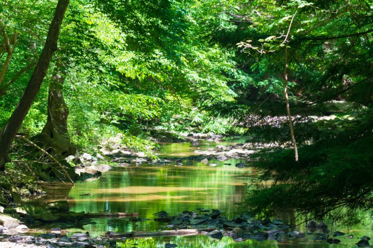 15 Coolest State Parks in Ohio For You To Explore - Midwest Explored