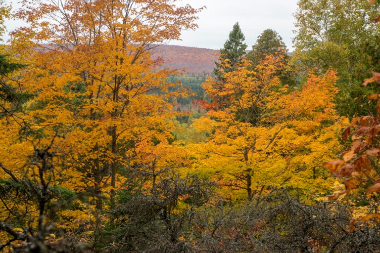 14 Best Places To Experience Fall In Minnesota - Midwest Explored