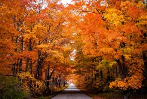 12 Best Places To Experience Fall In The Midwest - Midwest Explored