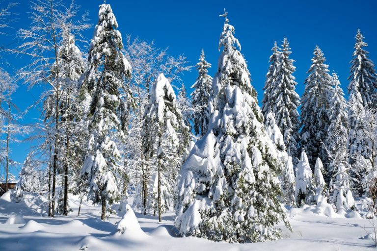 10 Best Michigan Ski Resorts - Midwest Explored