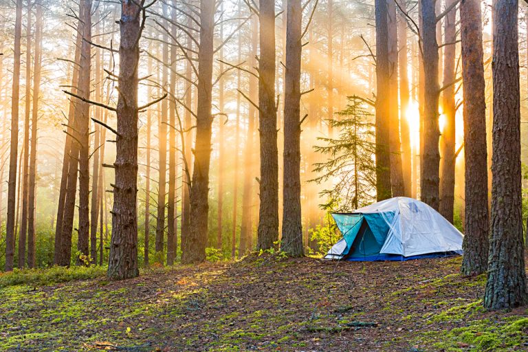 15 Epic Places for Camping in Wisconsin - Midwest Explored