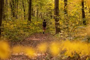 15 Scenic Trails for Hiking in Indiana - Midwest Explored