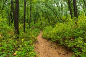 15 Scenic Trails for Hiking in Indiana - Midwest Explored