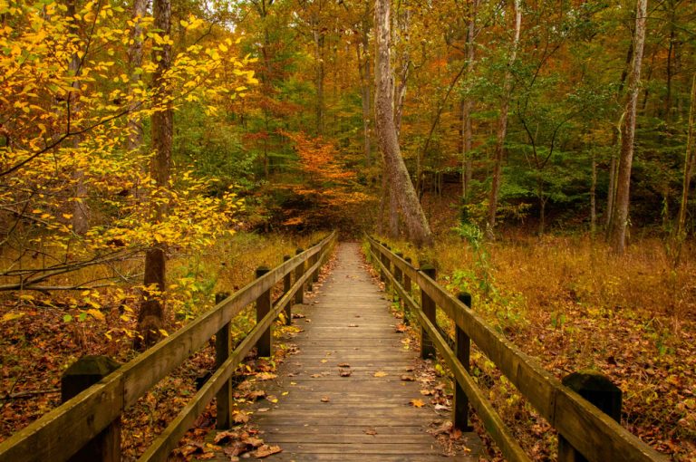 15 Scenic Trails for Hiking in Indiana - Midwest Explored