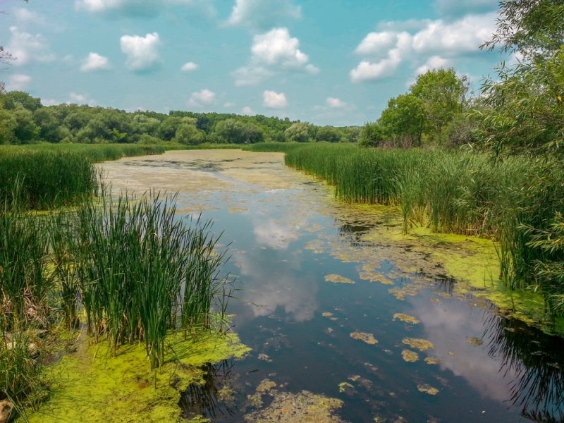 16 Best Things To Do in Madison WI You Shouldn't Miss - Midwest Explored