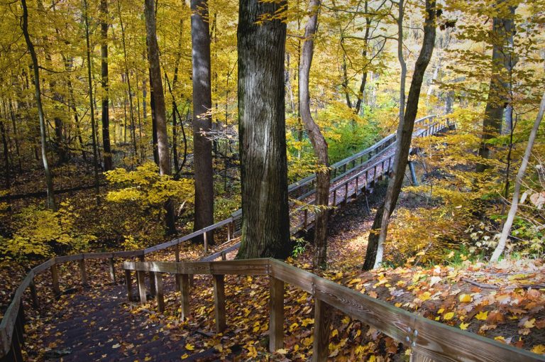 15 Scenic Trails for Hiking in Michigan For You to Explore - Midwest ...
