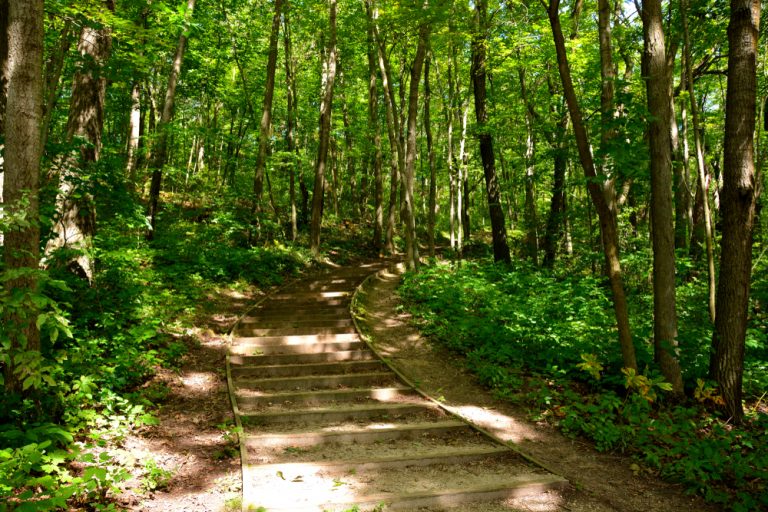 15 Scenic Trails For Hiking In Wisconsin - Midwest Explored