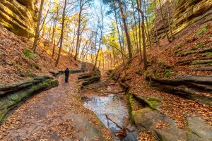 15 Scenic Trails for Hiking in the Midwest - Midwest Explored