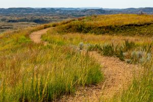 15 Scenic Trails for Hiking in the Midwest - Midwest Explored