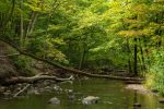 15 Scenic Trails For Hiking In Illinois - Midwest Explored