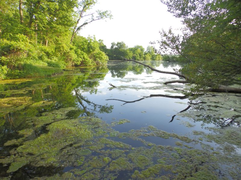 18 Best Things To Do in Sioux City IA You Shouldn't Miss - Midwest Explored