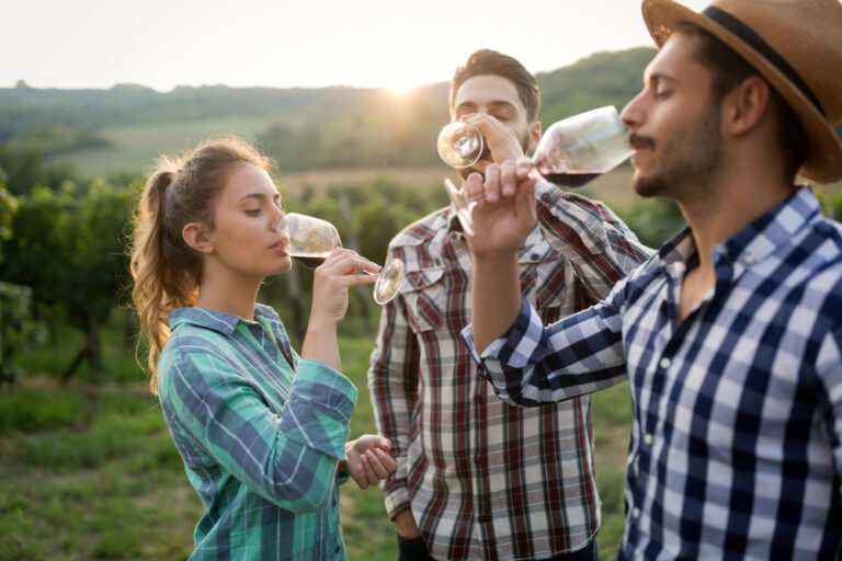 15 Beautiful Vineyards And Wineries In Ohio - Midwest Explored