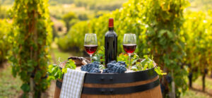 15 Beautiful Vineyards And Wineries In Ohio - Midwest Explored