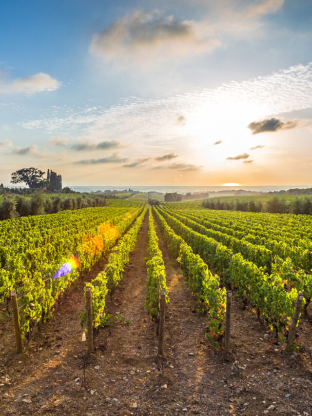 15 Beautiful Vineyards And Wineries In Ohio Story - Midwest Explored