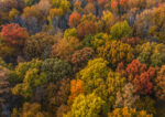 15 Best Places To Experience Fall In Indiana - Midwest Explored