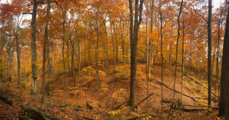 15 Best Places To Experience Fall In Indiana - Midwest Explored