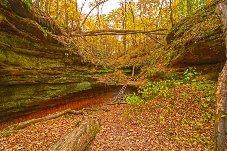 Fall In Iowa: Best Fall Foliage + Activities - Midwest Explored