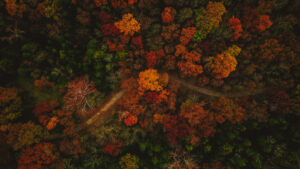 15 Best Places To Experience Fall In Missouri - Midwest Explored