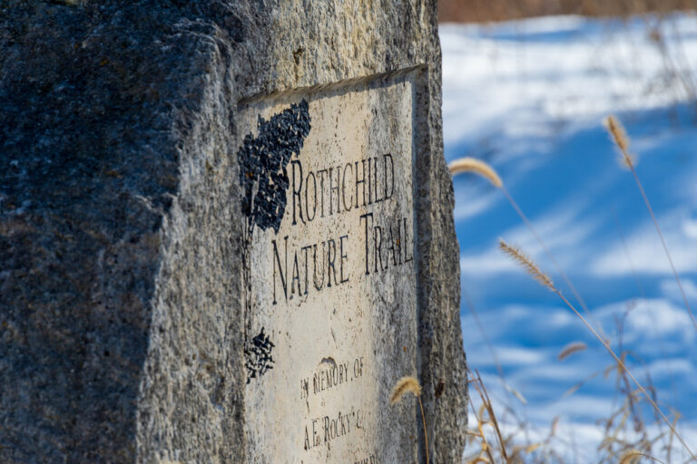 15 Scenic Trails for Hiking in Iowa - Midwest Explored