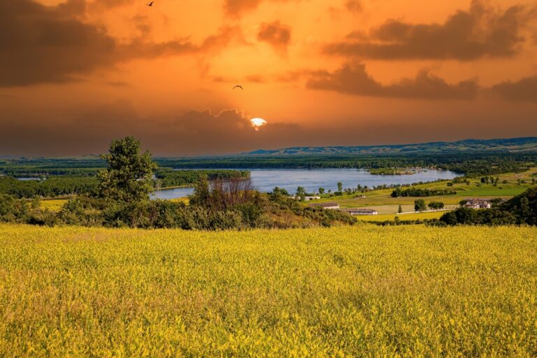 Fall in North Dakota: Best Fall Foliage + Activities - Midwest Explored