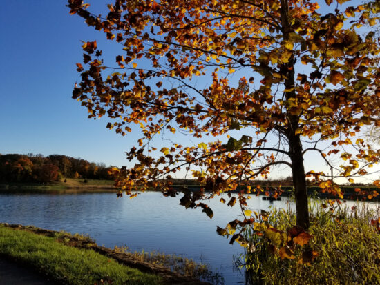 15 Scenic Trails for Hiking in Kansas - Midwest Explored