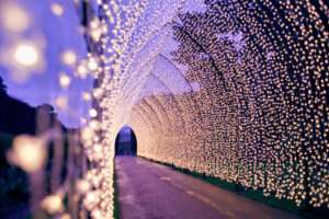 Christmas Lights in Chicago: 15 Best Displays Not to Miss - Midwest ...