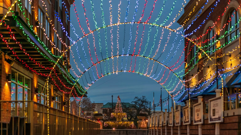 Christmas Lights in Chicago: 15 Best Displays Not to Miss - Midwest ...