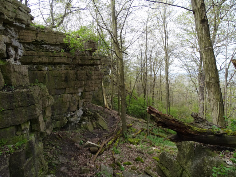 10 Best Things To Do in Appleton WI Not to Miss - Midwest Explored